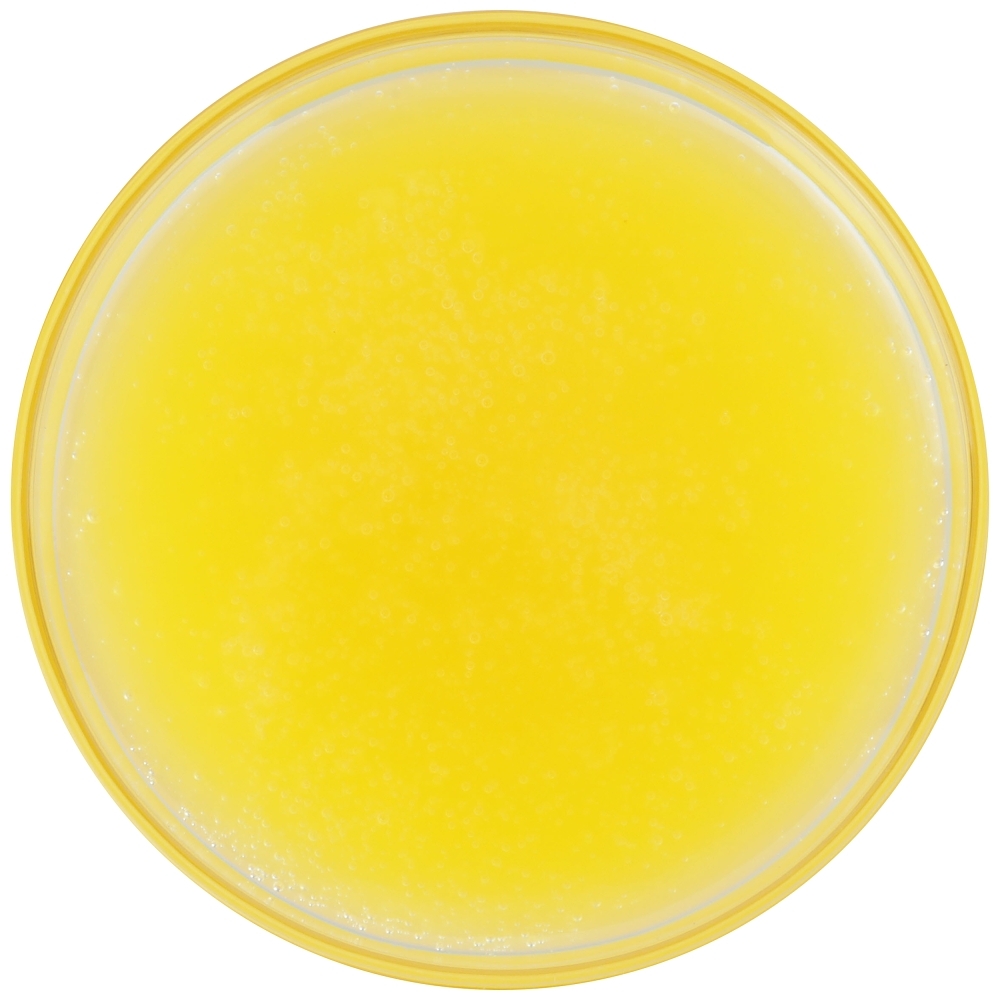 Phase® No Sodium Liquid Butter Alternative - Ventura Foods