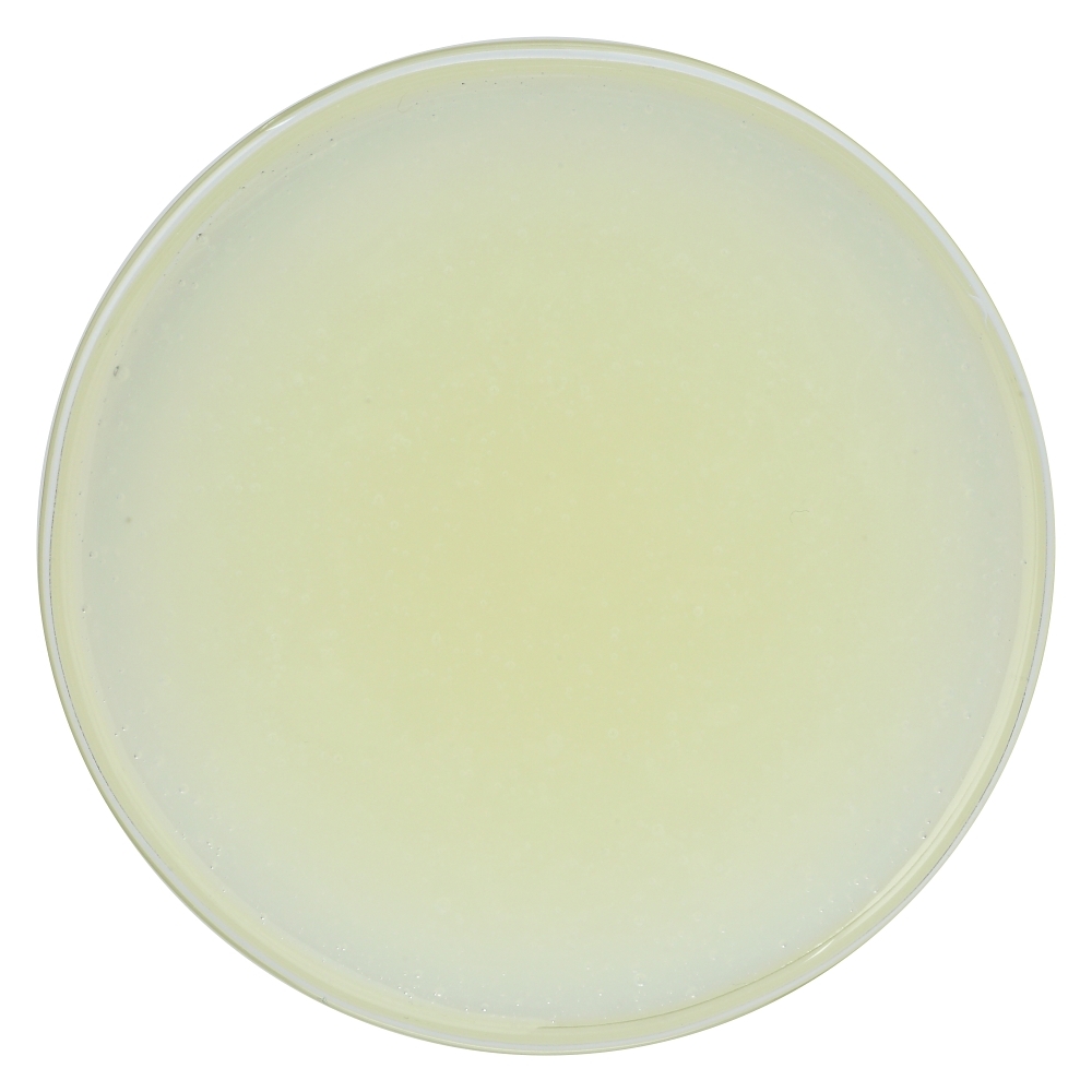 Chef's Pride Fry Shortening Oil for Fresh or Frozen Food, 35 lb